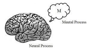 Chapter 2 - The Basic Theory of the Mind